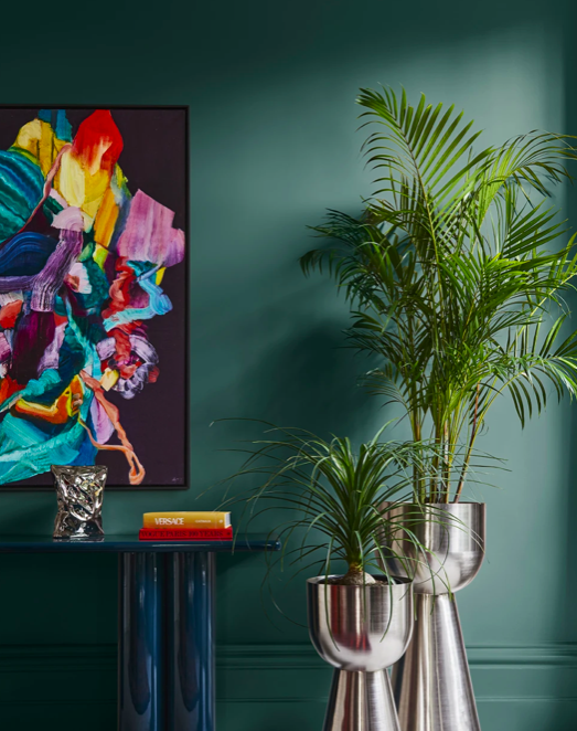 Dulux is Our Muse For Our 2024 Hero Colours – AIFF Online